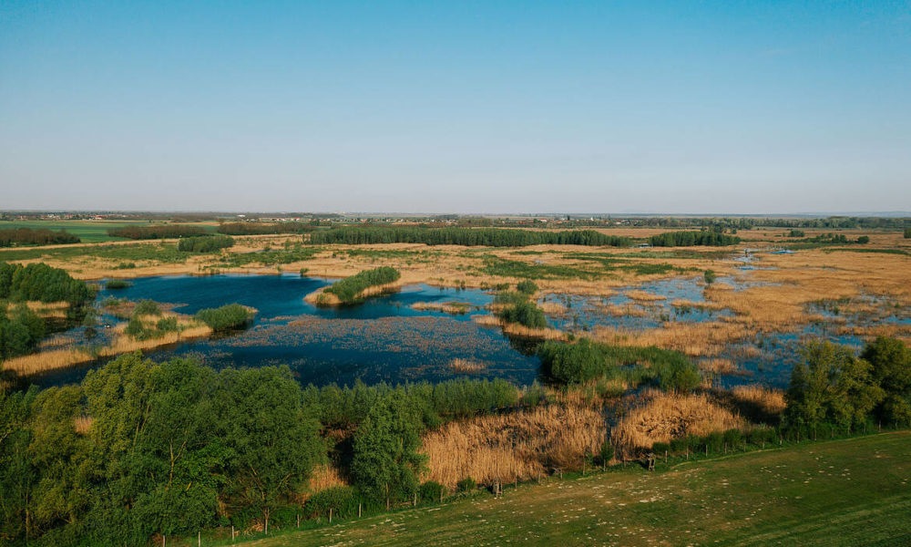 Ujërat nëntokësore tema kryesore e Ditës Botërore të Ujit - Media Ndertimi